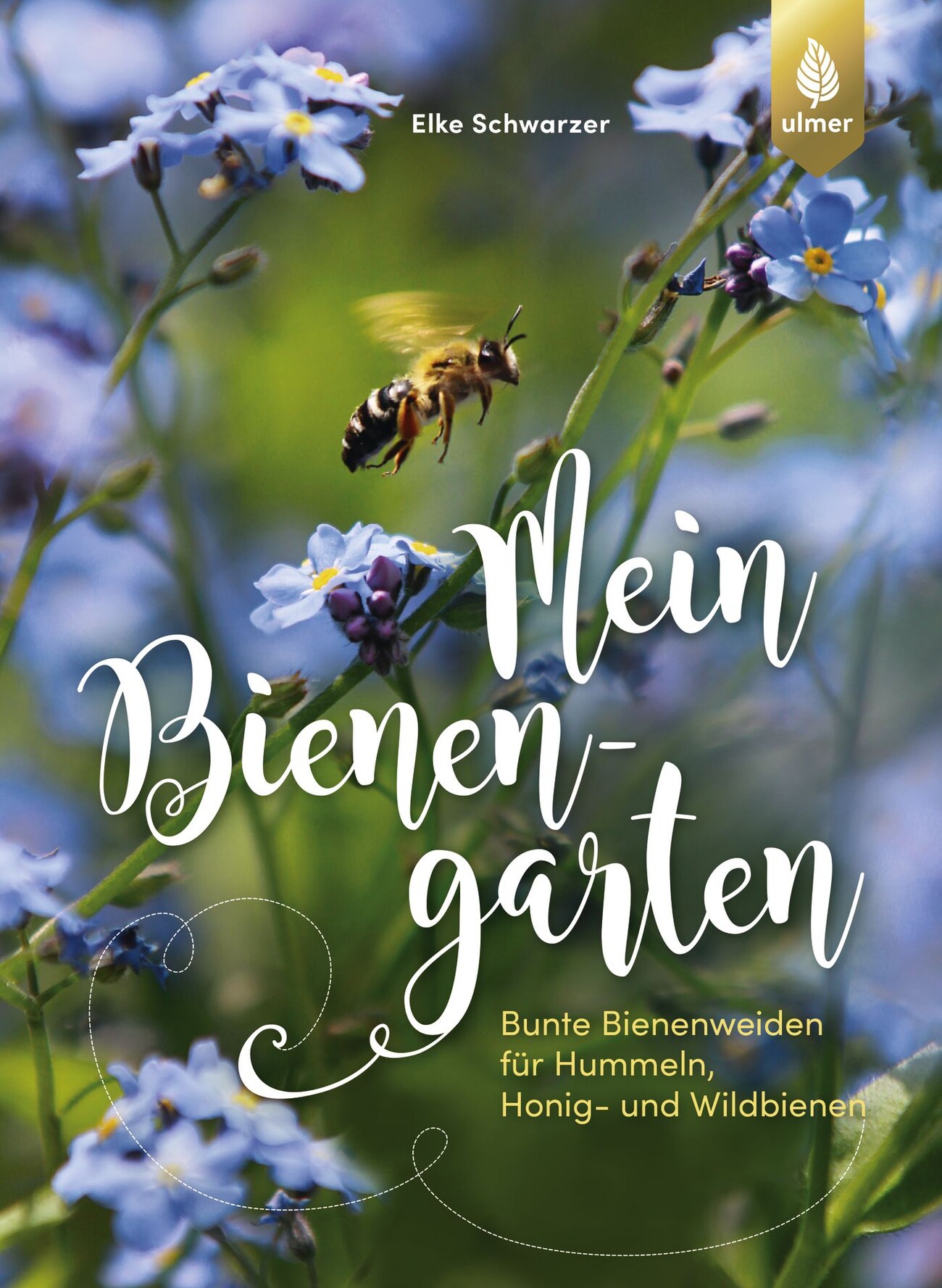 Die 10 häufigsten Wildbienenarten - Wildbienenwelt.de