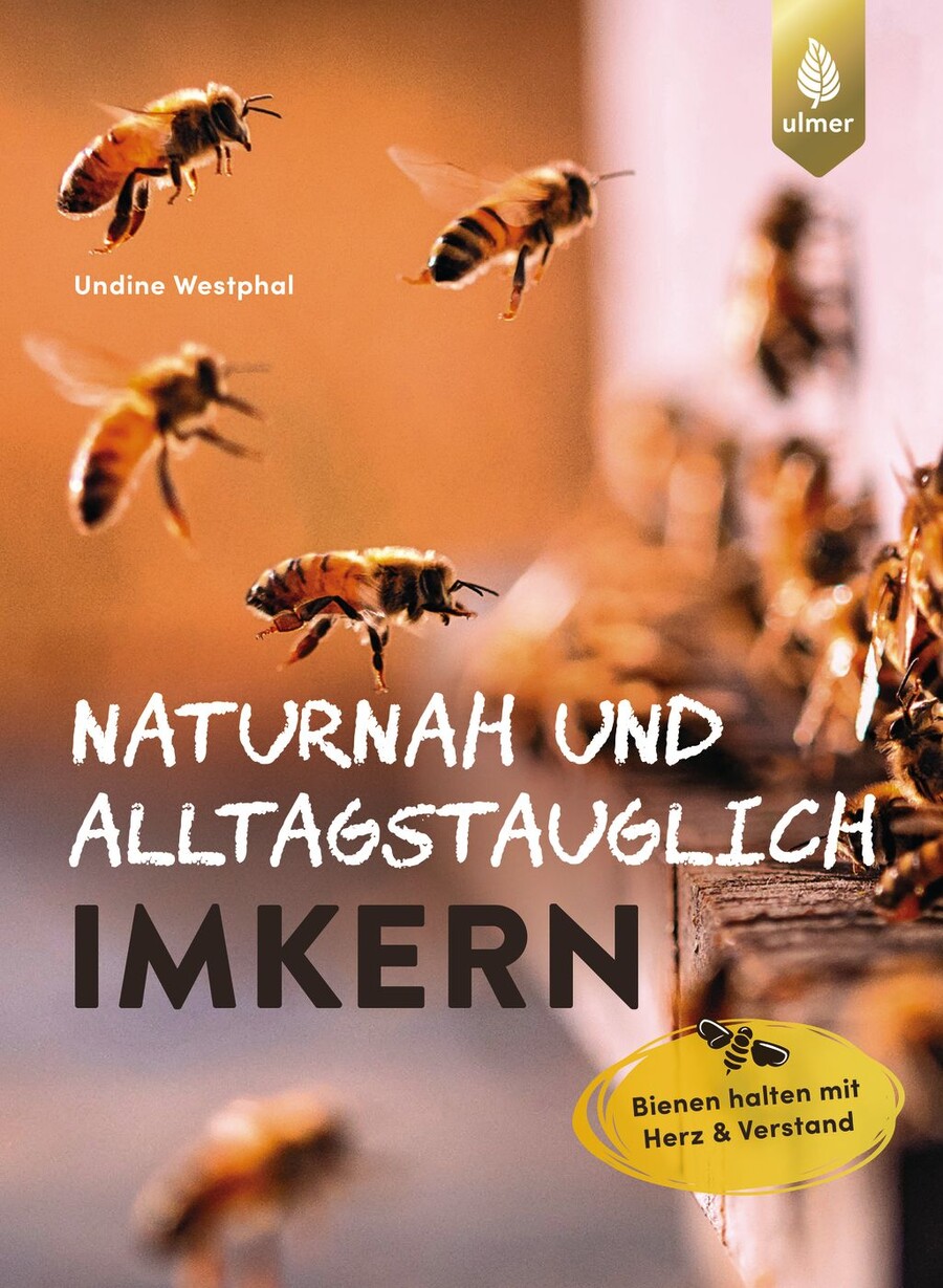 Die 10 häufigsten Wildbienenarten - Wildbienenwelt.de