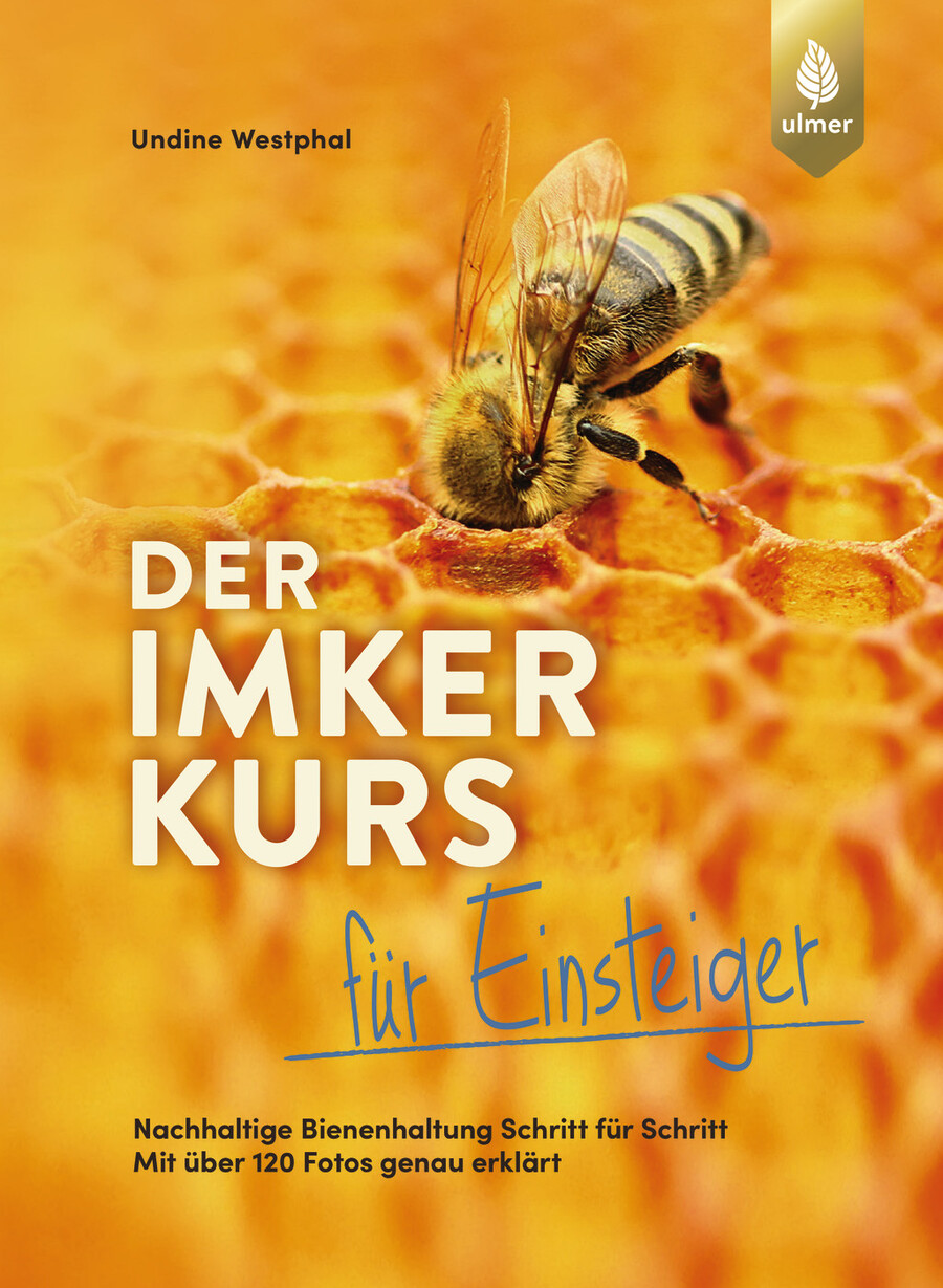 Die 10 häufigsten Wildbienenarten - Wildbienenwelt.de